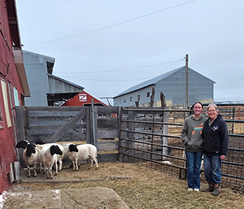 Kansas Sheep Association